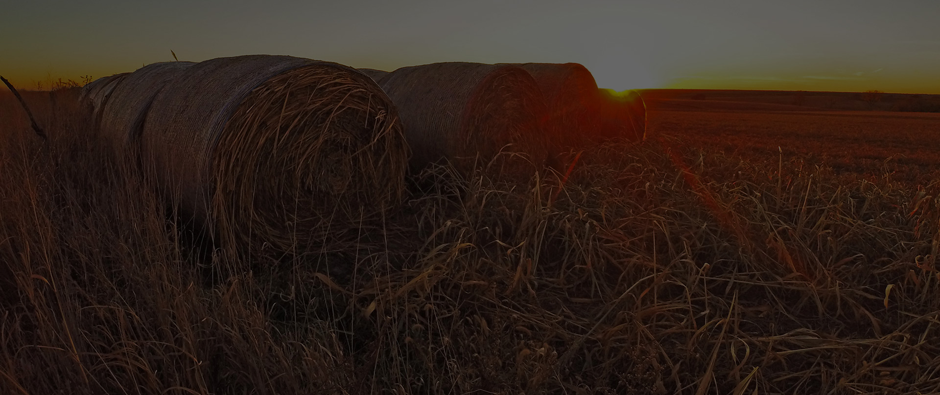 Contact Us | Wellons Land