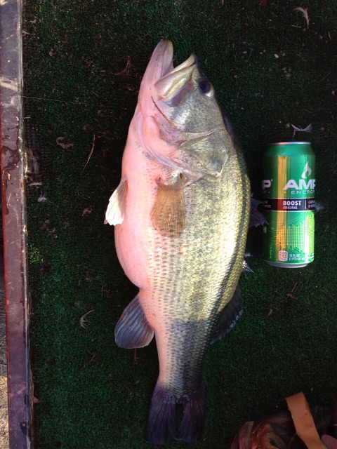 Jackson Point Membership | Wellons Land