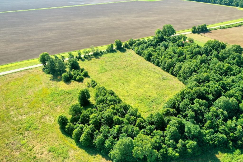 The Penn Farm | Wellons Land