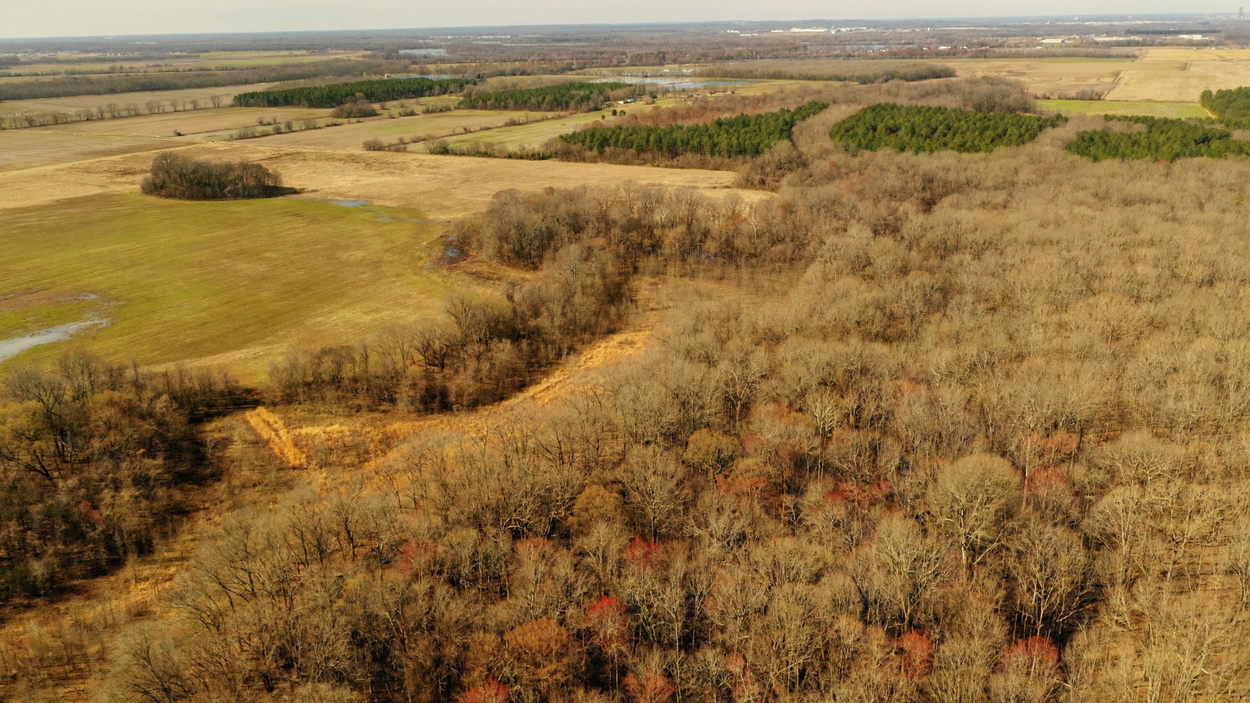The Dortch Farm - Wellons Land