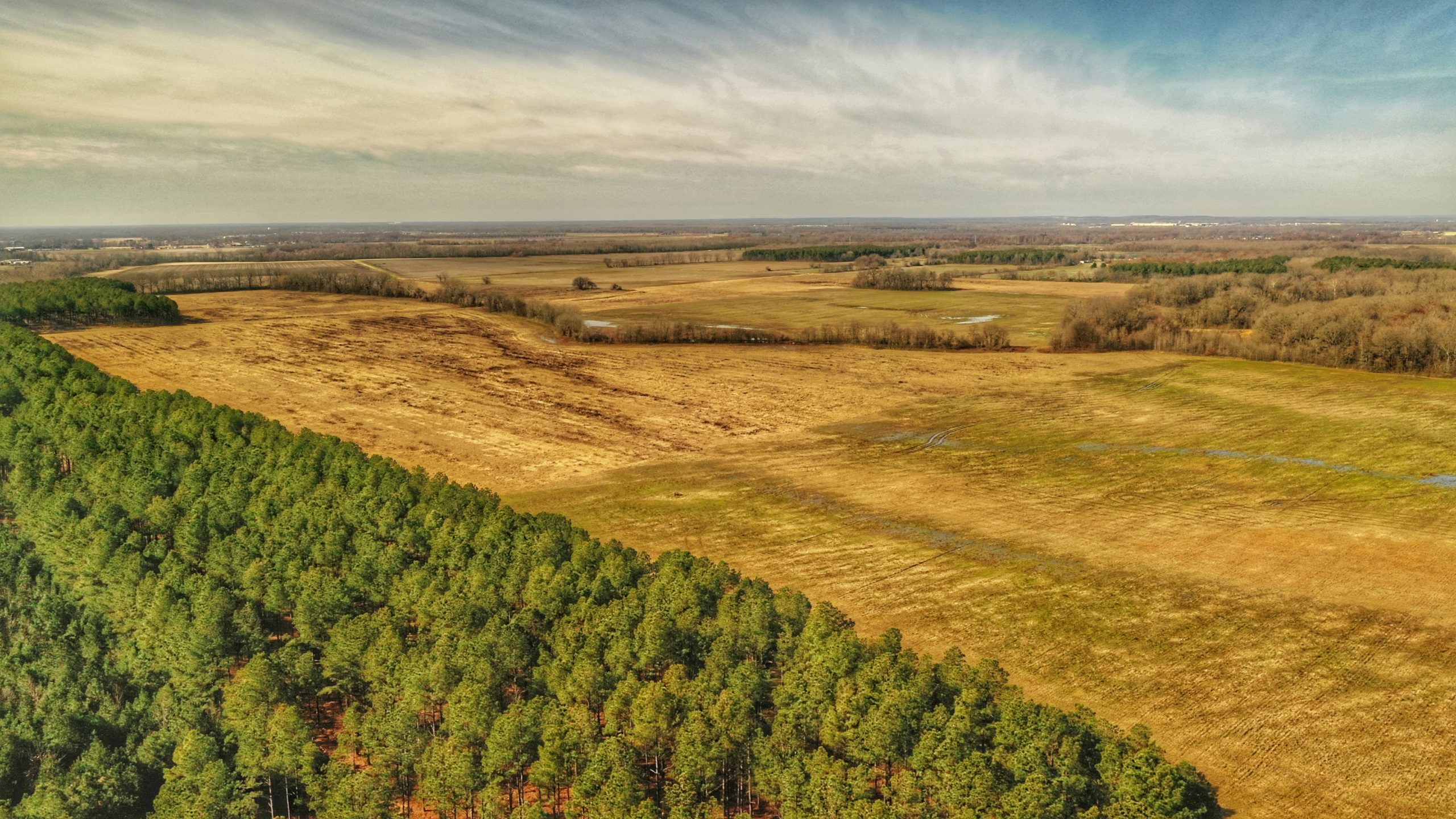 8 Arrow Farms - Wellons Land