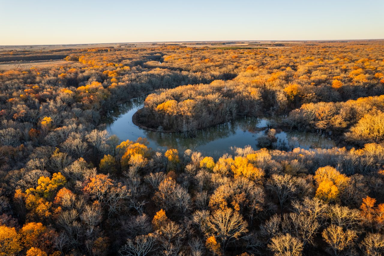 Arkansas Wildlife Acreage - Wellons Land Real Estate