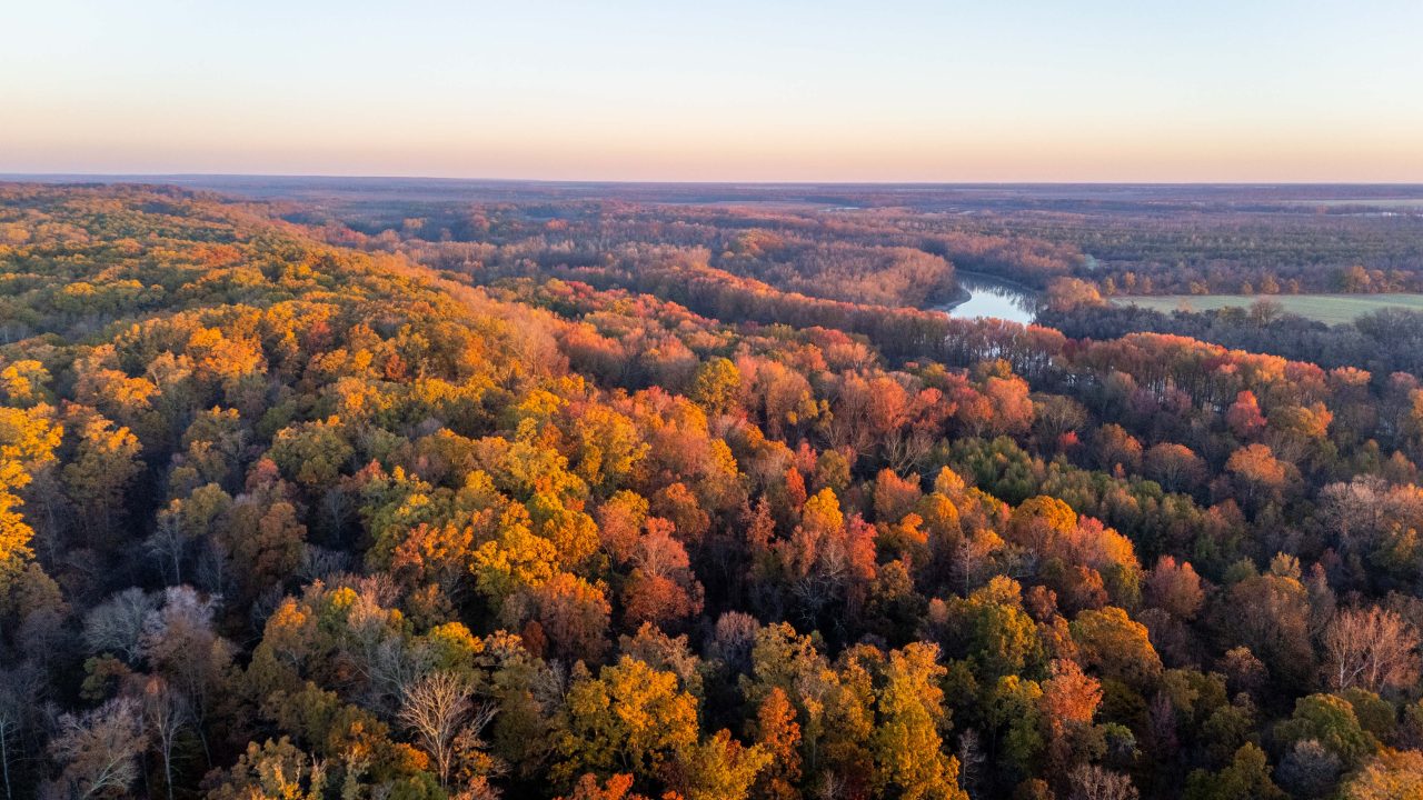 Hunting Land For Sale in Arkansas - Wellons Land Real Estate